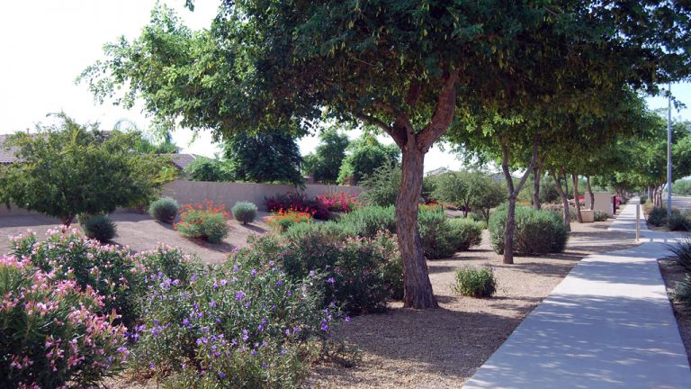Landscape Maintenance – Caretaker Landscape